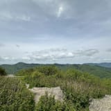 Sam Knob Trail, North Carolina - 1,461 Reviews, Map | AllTrails