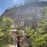 Canyon Loop Trail, Georgia - 2,372 Reviews, Map | AllTrails