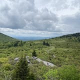 Massie Gap and Wilburn Ridge Loop, Virginia - 969 Reviews, Map | AllTrails