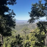 Atalaya Mountain Trail, New Mexico - 2,805 Reviews, Map | AllTrails
