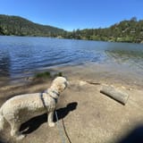 Lake Gregory Trail, California - 1,638 Reviews, Map | AllTrails