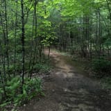 Long Branch Loop Trail, Georgia - 2,167 Reviews, Map | AllTrails