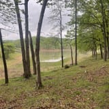 White Bison Loop, Missouri - 2,417 Reviews, Map | AllTrails