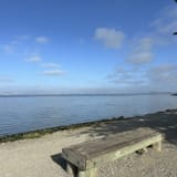 Bay Farm Island Loop Trail, California - 1,183 Reviews, Map | AllTrails