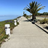 Bay Farm Island Loop Trail, California - 1,183 Reviews, Map | AllTrails