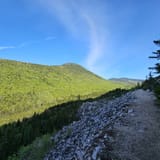 Zealand Bonds Traverse, New Hampshire - 752 Reviews, Map | AllTrails