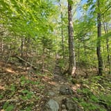 Zealand Bonds Traverse, New Hampshire - 752 Reviews, Map | AllTrails