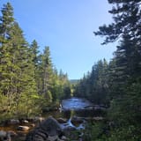 Zealand Bonds Traverse, New Hampshire - 765 Reviews, Map | AllTrails