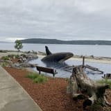 Point Defiance Park Outer Loop, Washington - 4,051 Reviews, Map | AllTrails
