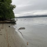 Point Defiance Park Outer Loop, Washington - 4,051 Reviews, Map | AllTrails