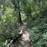 Stevens Trail, California - 4,814 Reviews, Map | AllTrails