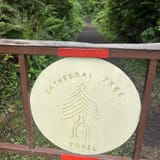 Cathedral Tree Trail, Oregon - 1,002 Reviews, Map | AllTrails