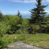 Brook and Boulder Trail, New Hampshire - 1,354 Reviews, Map | AllTrails