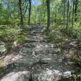 Monument Trail Loop, New Jersey - 2,010 Reviews, Map | AllTrails