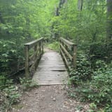 Powhite Park Loop Trail, Virginia - 744 Reviews, Map | AllTrails