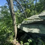Hawk Rock Loop, Pennsylvania - 1,442 Reviews, Map | AllTrails