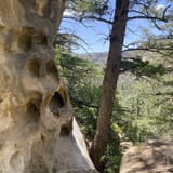 Spruce Canyon Trail, Colorado - 373 Reviews, Map | AllTrails