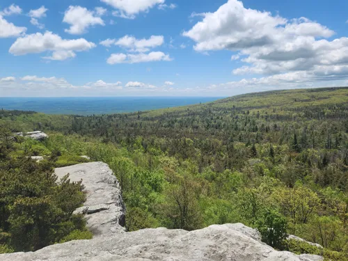 Best Historic Site Trails in Ellenville | AllTrails