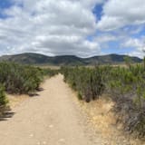 Grasslands Loop Trail, California - 1,717 Reviews, Map | AllTrails