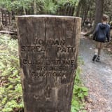 Jordan Stream Path, Maine - 164 Reviews, Map | AllTrails