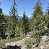 Castle Rock Loop Trail, Nevada - 1,856 Reviews, Map | AllTrails