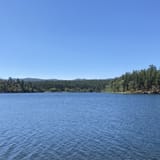 Lynx Lake Loop Trail, Arizona - 2,359 Reviews, Map | AllTrails