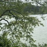 Waughop Lake Loop , Washington - 698 Reviews, Map | AllTrails