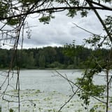 Waughop Lake Loop , Washington - 698 Reviews, Map | AllTrails