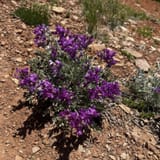 Johnny Behind the Rocks Trail, Wyoming - 87 Reviews, Map | AllTrails