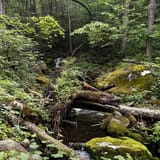 Diamond Notch Falls via Diamond Notch Road, New York - 898 Reviews, Map ...