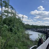 Lake Wilcox Park Loop, Ontario, Canada - 262 Reviews, Map | AllTrails