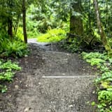 Echo Peak Loop Trail, Washington - 1,774 Reviews, Map | AllTrails