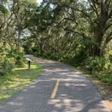 Big Talbot Island Timucuan Trail, Florida - 202 Reviews, Map | AllTrails