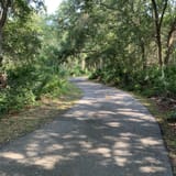 Big Talbot Island Timucuan Trail, Florida - 202 Reviews, Map | AllTrails