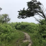 Beavertail Lighthouse Loop, Rhode Island - 775 Reviews, Map | AllTrails