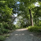 Bull Hill Full Loop, New York - 5,679 Reviews, Map | AllTrails