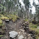 Allen Mountain Trail, New York - 1,180 Reviews, Map | AllTrails