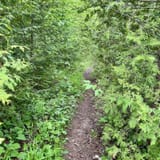 Allen Mountain Trail, New York - 1,180 Reviews, Map | AllTrails