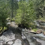 Allen Mountain Trail, New York - 1,180 Reviews, Map | AllTrails