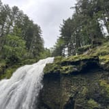 Little Mashel Falls Trail via Bud Blancher Trail, Washington - 3,601 ...