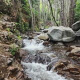 Etiwanda Falls Trail, California - 6,014 Reviews, Map | AllTrails