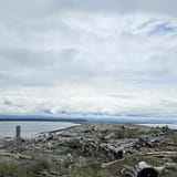 Dungeness Spit Trail, Washington - 1,576 Reviews, Map | AllTrails