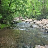 Mouse Creek Falls via Big Creek Trail, Tennessee - 2,838 Reviews, Map ...