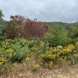 Inspiration Point Loop, California - 4,481 Reviews, Map | AllTrails