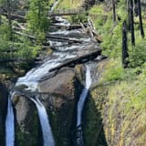 Oneonta Trail, Oregon - 724 Reviews, Map | AllTrails