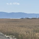 Black Rock Walk, Utah - 50 Reviews, Map | AllTrails