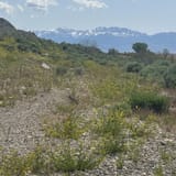 Black Rock Walk, Utah - 50 Reviews, Map | AllTrails