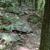 Dripping Rock South via Appalachian Trail, Virginia - 802 Reviews, Map ...