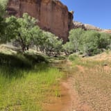 Horseshoe Canyon Trail, Utah - 408 Reviews, Map | AllTrails
