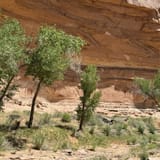 Horseshoe Canyon Trail, Utah - 408 Reviews, Map | AllTrails